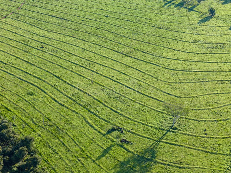 Pasture Area with Contour Lines in Field Stock Image - Image of ...