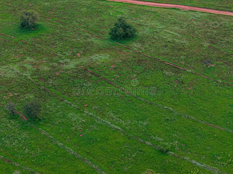 Pasture Area with Contour Lines in Field Stock Photo - Image of green ...