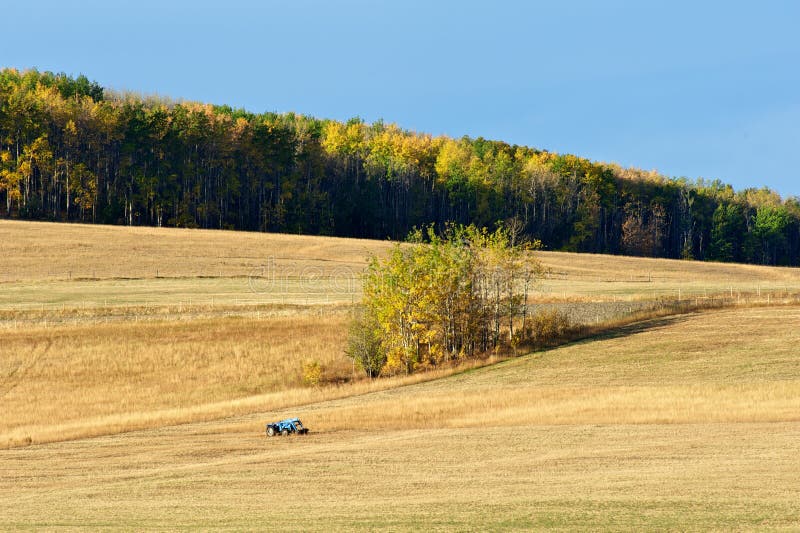 Pasture in fall stock image. Image of field, rustic, pasture - 31190049