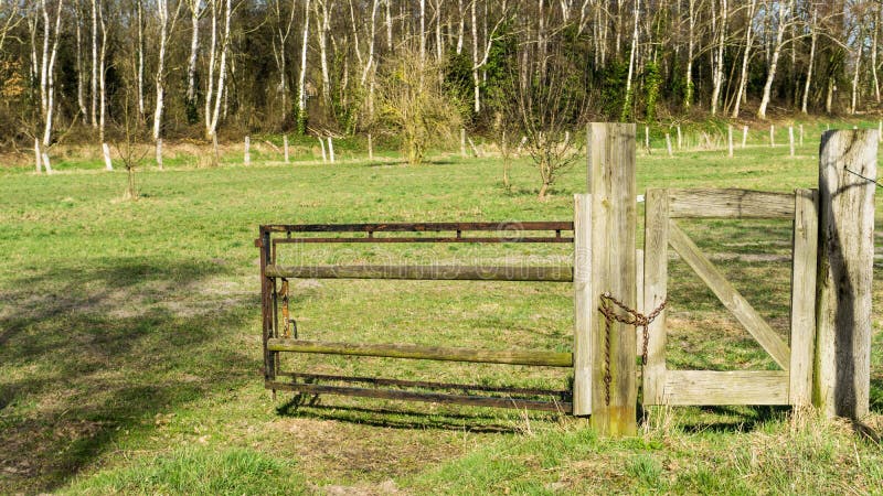 A Pasture with Fence and Trees Stock Photo - Image of agriculture ...