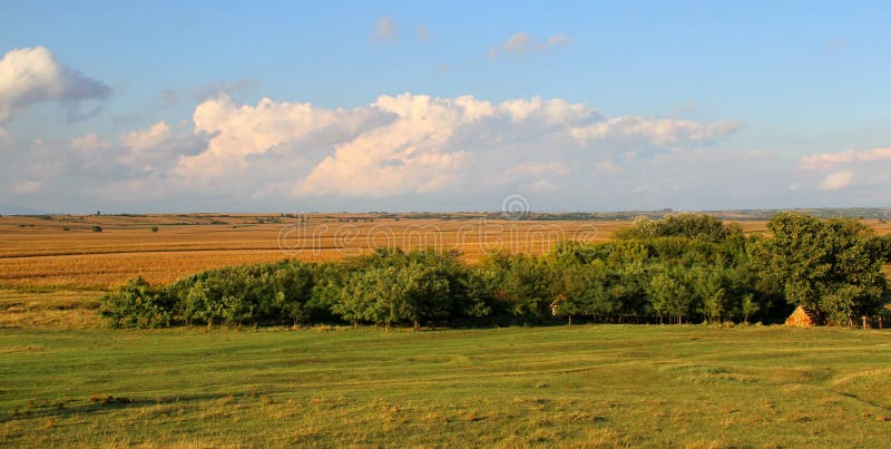 Pasture field stock image. Image of agriculture, grass - 34109085