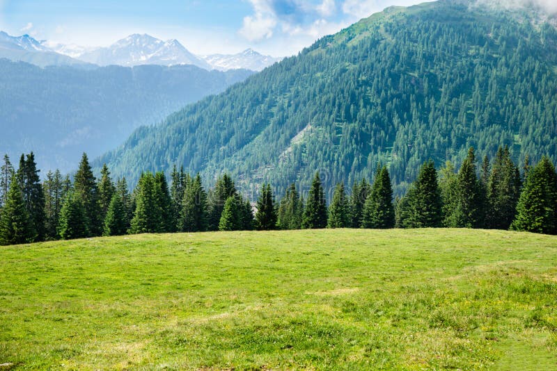 Pasture Grass Field in Austrian Alps Stock Image - Image of outdoors ...