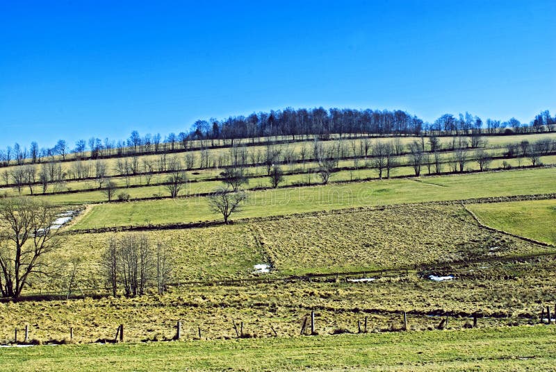 Pasture on the hill stock image. Image of plants, fields - 94863377
