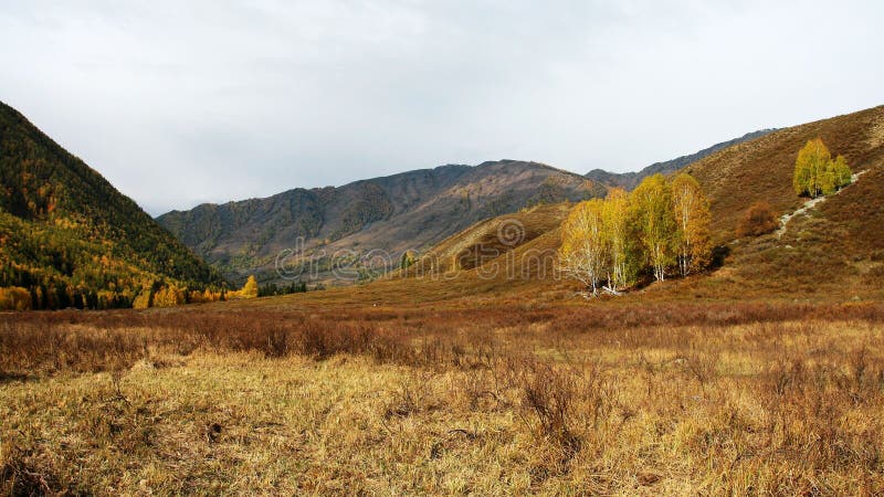 Pasture land stock photo. Image of pastoral, countryside - 6944092