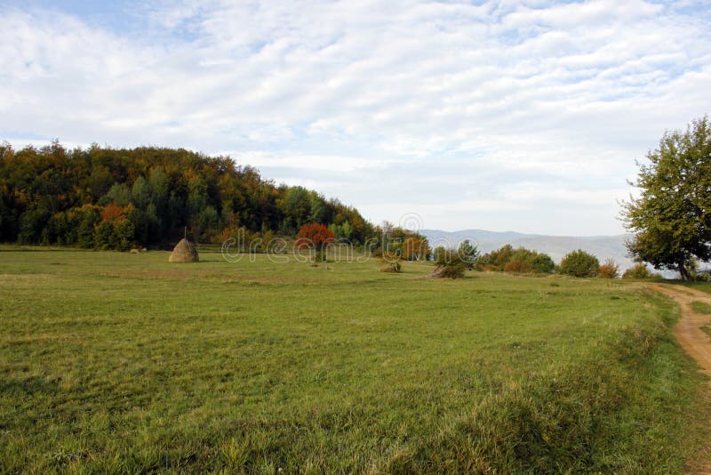 Pasture stock image. Image of land, seasonal, leaves - 53555175