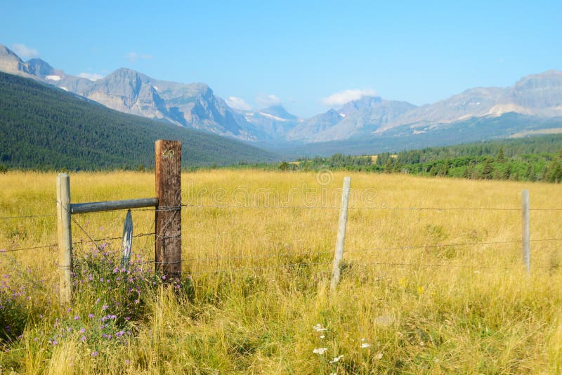Pasture Lands in Glacier National Park. Stock Image - Image of icefield ...