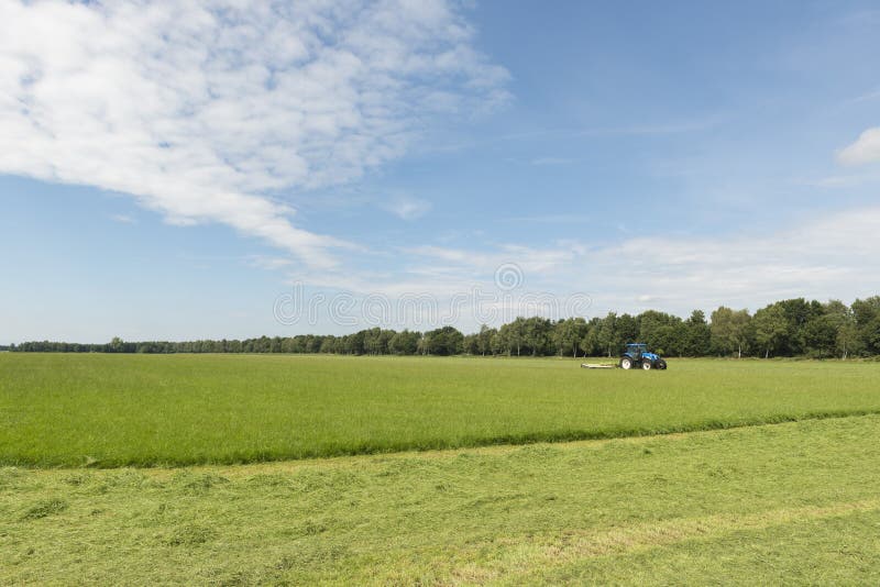 Pasture Mowing with Blue Tractor Stock Photo - Image of farmer ...