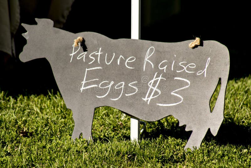 Pasture Raised Egg Sign on a Cow Chalkboard at a Farmers Market Stock ...