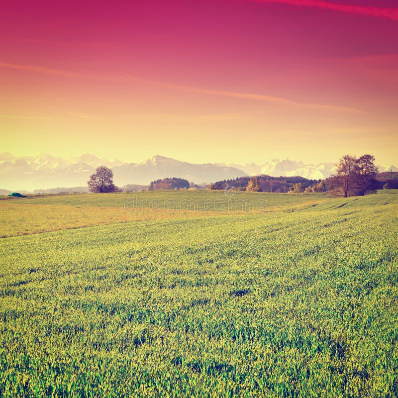 Pasture at Sunset stock image. Image of capped, field - 53756565