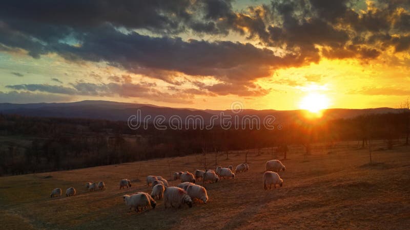 Pasture sunset stock image. Image of countryside, pastural - 114624053