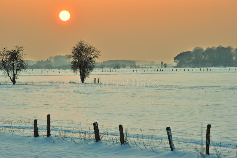 Pasture in winter stock photo. Image of fence, agriculture - 22650474