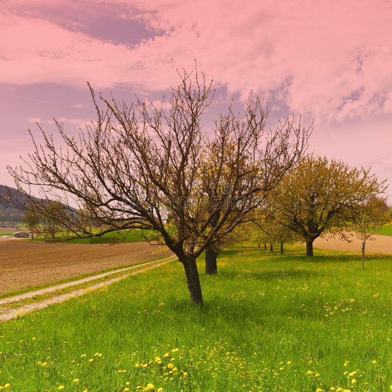 Pastures and Garden stock photo. Image of europe, farm - 88344360
