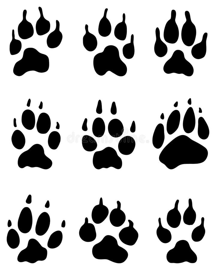 Pata Del Lobo Ilustraciones Stock, Vectores, Y Clipart – (2,112 ...