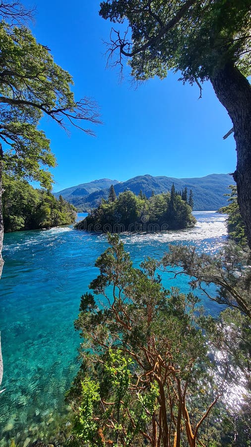 Patagonia Argentina tree stock photo. Image of lake - 212037122
