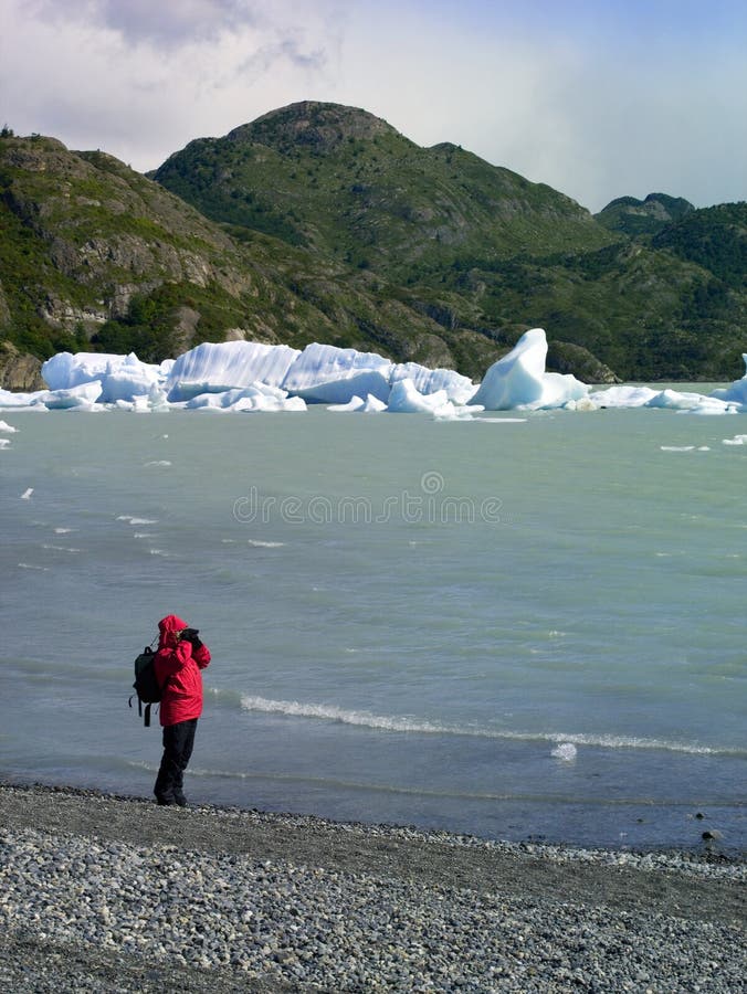 Patagonia in Chile - Floating Sea Ice Stock Photo - Image of patagonia ...
