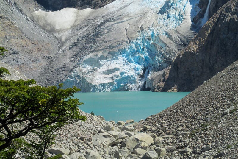 Montagna Delle Ande Fitzroy Di Patagonia E Campo Verde Fotografia Stock ...