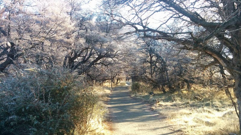 Patagonia`s path stock photo. Image of nature, patagonia - 95980274