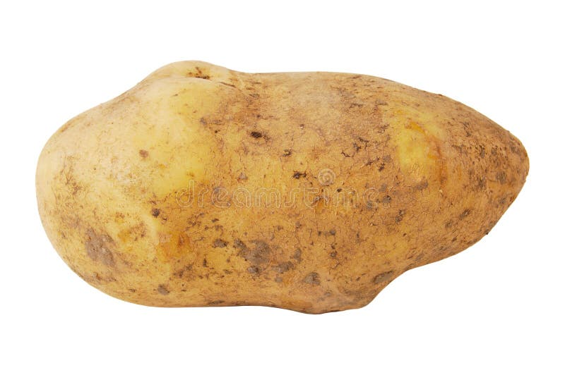 Patata imagen de archivo. Imagen de crezca, terroso, comer - 22651327
