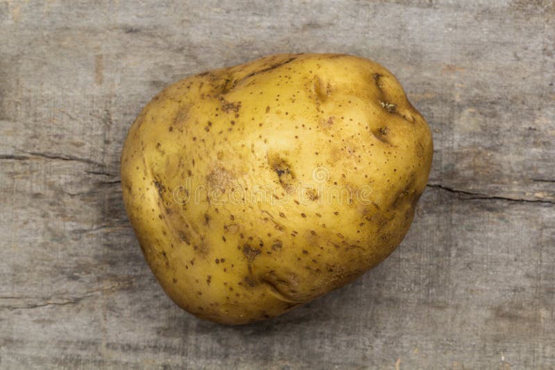 Patata grande foto de archivo. Imagen de vegetariano - 47266716