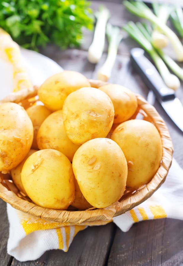 Patata grezza immagine stock. Immagine di terra, giardinaggio - 40828649