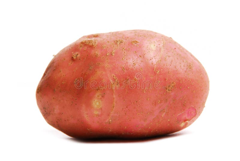 Patata rossa fotografia stock. Immagine di oggetti, preparato - 3137792