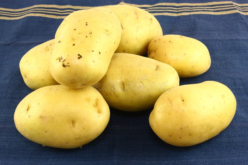 Patate dell'oro del Yukon immagine stock. Immagine di cucina - 17131921