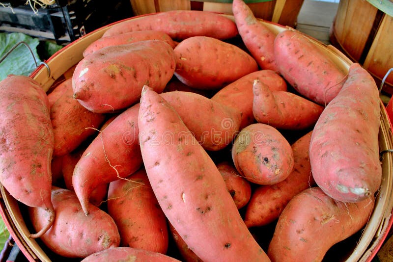 Patate douce photo stock. Image du part, doux, sain, nourriture - 19526386