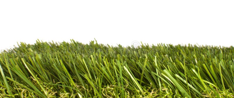 Cross Section of Grass Lawn Stock Photo - Image of natural, grass: 10737528