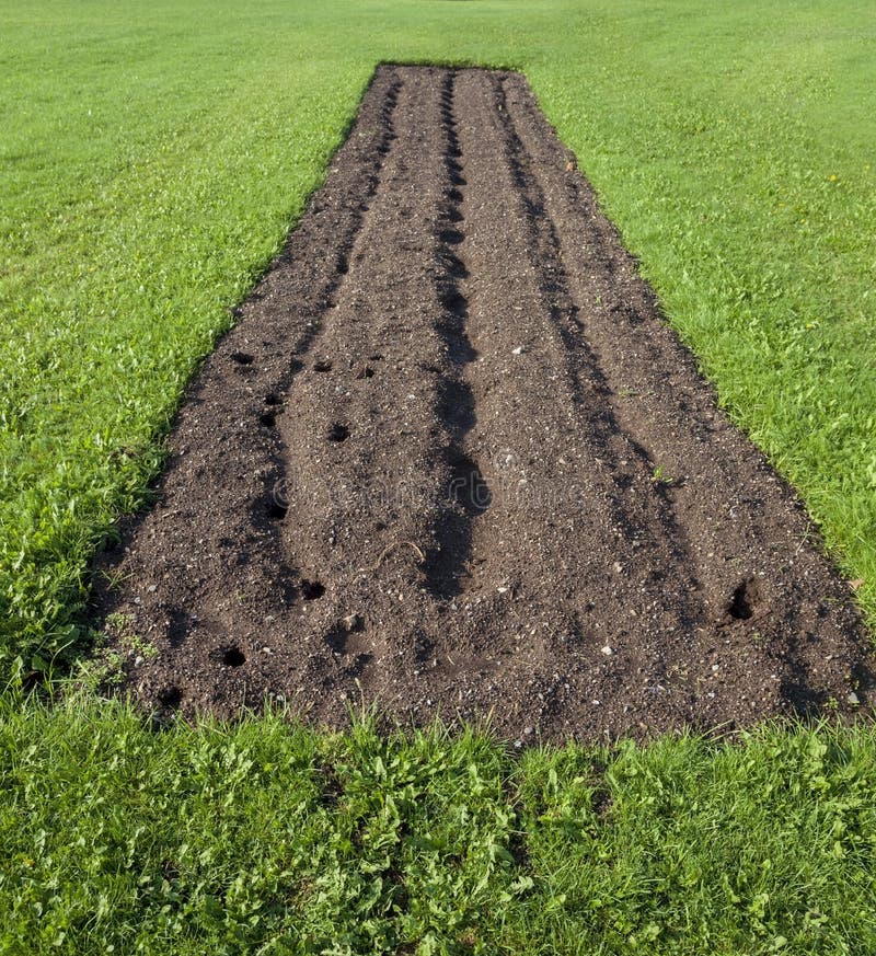 Patch of Fertile Soil in Field Stock Image - Image of fertile, patch ...