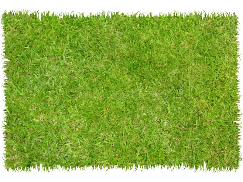 Patch of grass stock image. Image of nature, texture, green - 5361899