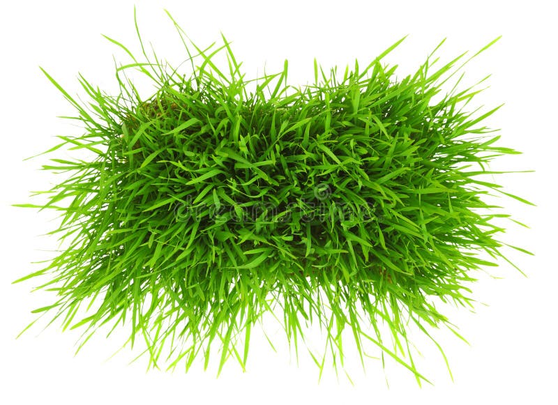 Patch of green grass stock photo. Image of seasonal, patch - 37147470