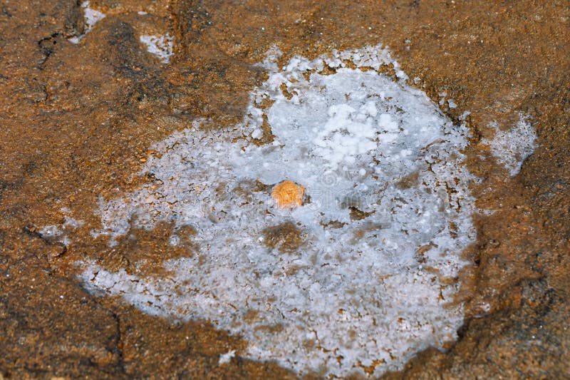 Patch of Salt Forming a Rough Surface Stock Image - Image of macro ...