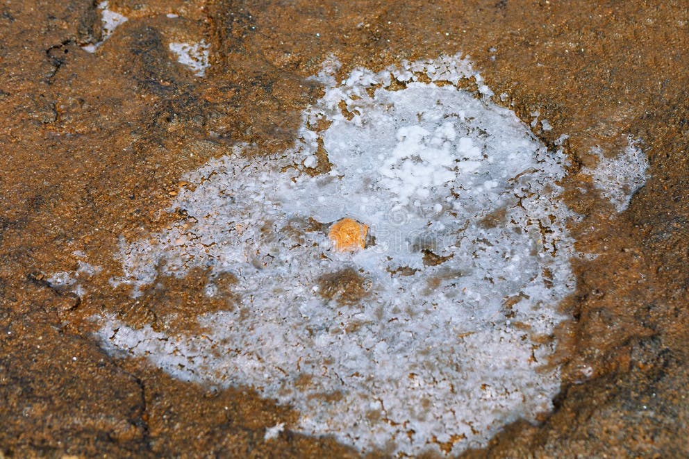 Patch of Salt Forming a Rough Surface Stock Image - Image of macro ...