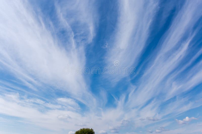 Patch of Sky with Cirrus Clouds Above the Tree Top Stock Image - Image ...