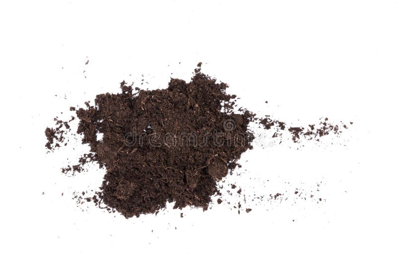 Patch of Soil or Mud Isolated on White Background Stock Image - Image ...