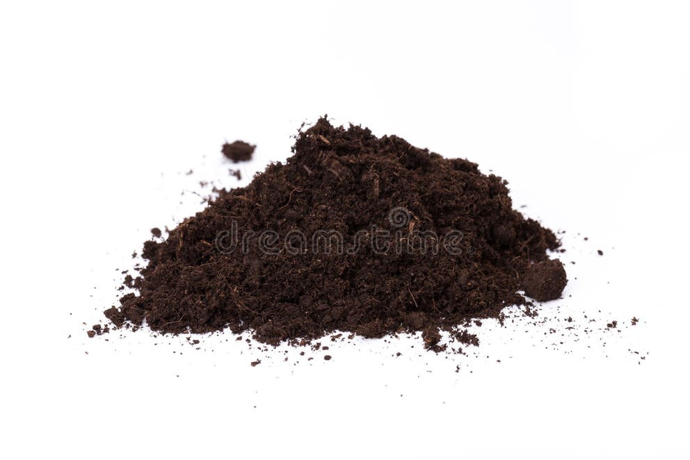Patch of Soil or Mud Isolated on White Background Stock Photo - Image ...