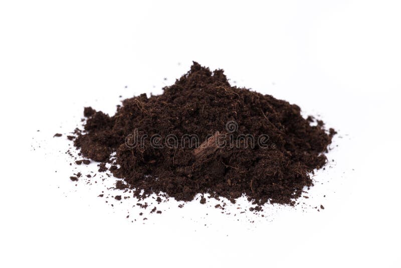 Patch of Soil or Mud Isolated on White Background Stock Image - Image ...