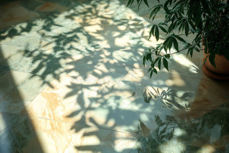 A Patch of Sunlight and Shadows Cast by Greenery Stock Illustration ...