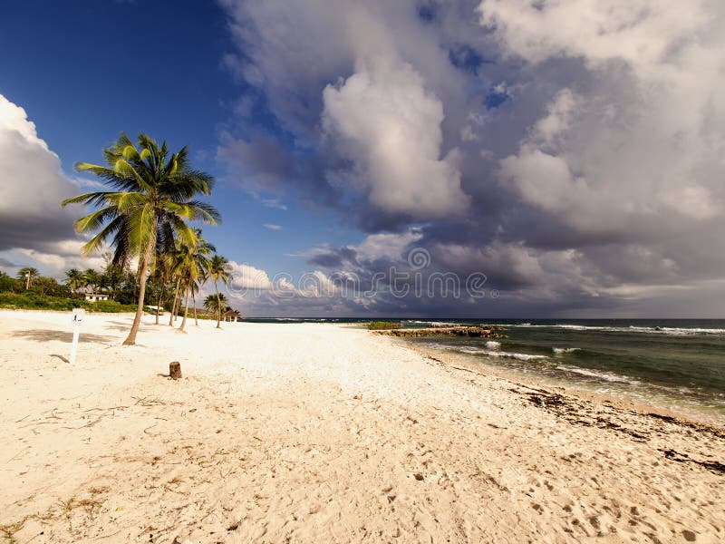 4,683 Cinematic Beach Stock Photos - Free & Royalty-Free Stock Photos ...