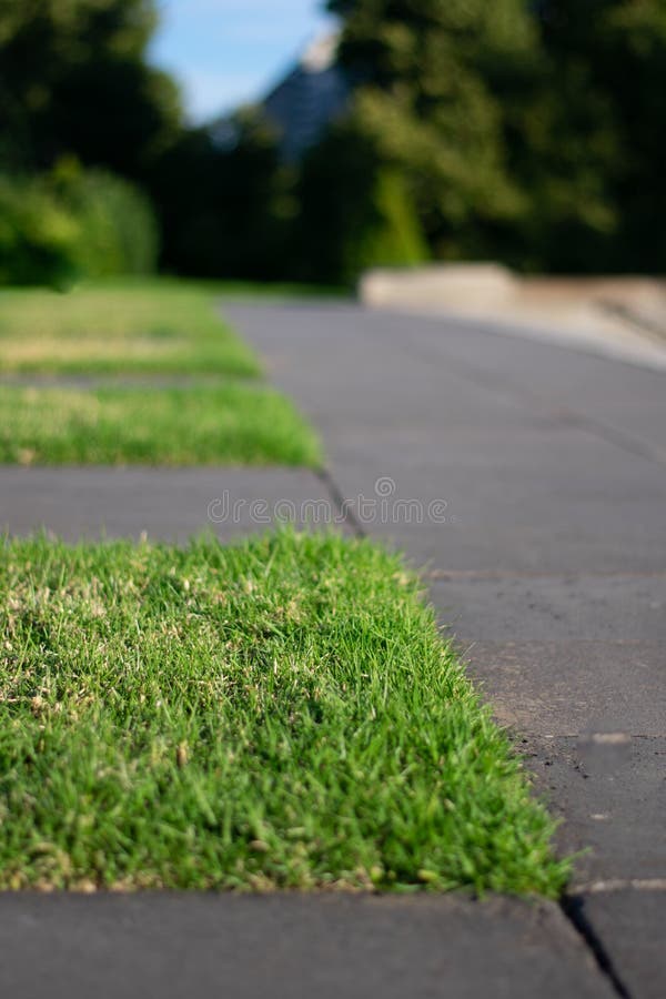 Patches of Grass on the Sidewalk Stock Image - Image of patches ...