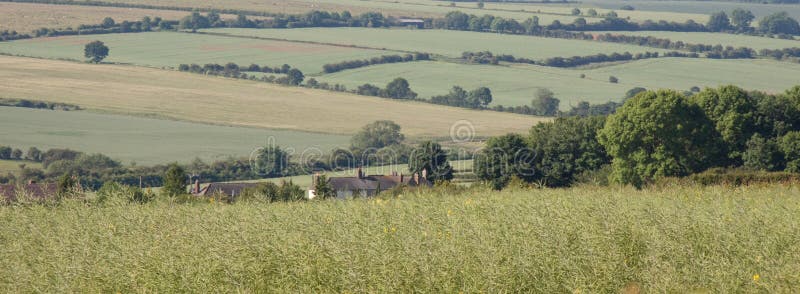 Patchwork fields stock photo. Image of farm, english - 20824356