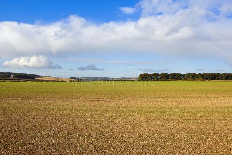 Patchwork of fields stock photo. Image of slovakia, mountain - 27098138