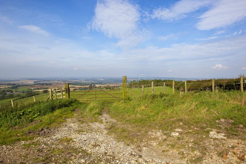Patchwork fields in autumn stock photo. Image of autumn - 100604536
