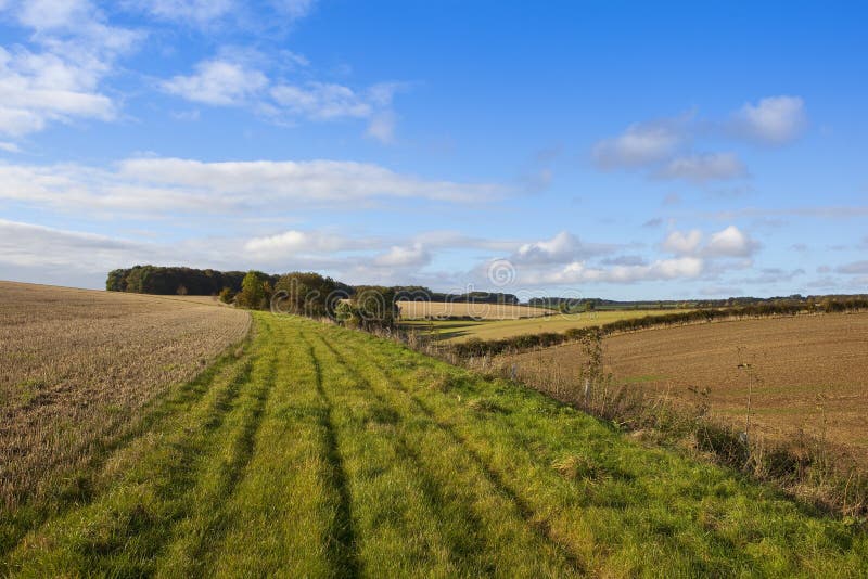 Patchwork Fields and Footpath Stock Photo - Image of weather, clouds ...