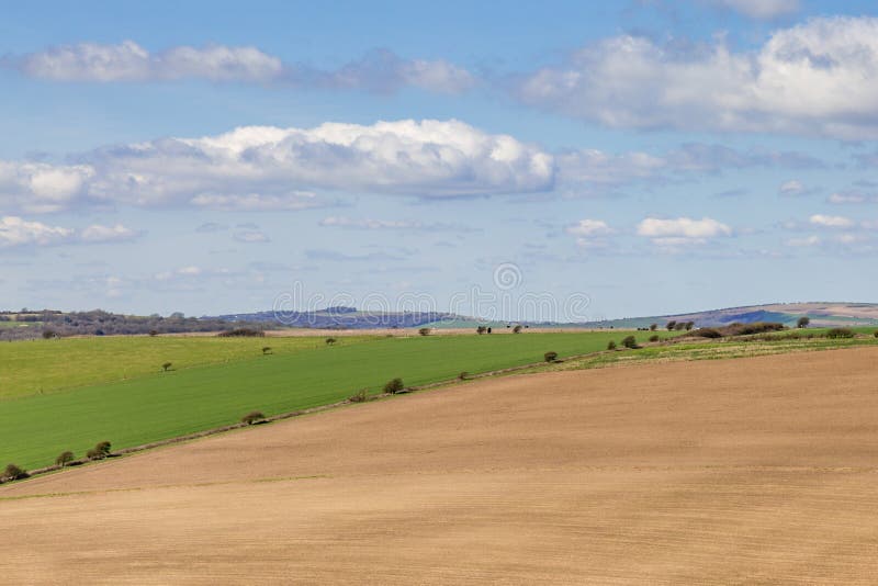 South Downs Landscape in Spring Stock Image - Image of pretty ...