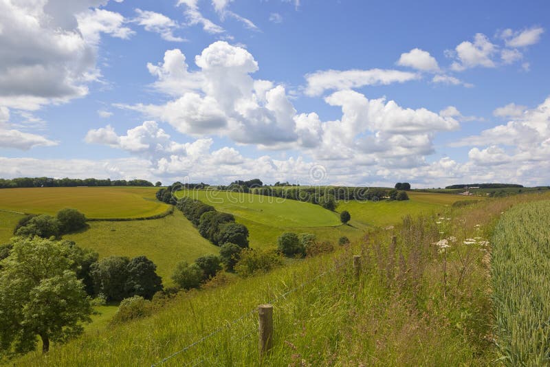 Patchwork Fields in the Yorkshire Wolds Stock Image - Image of ...