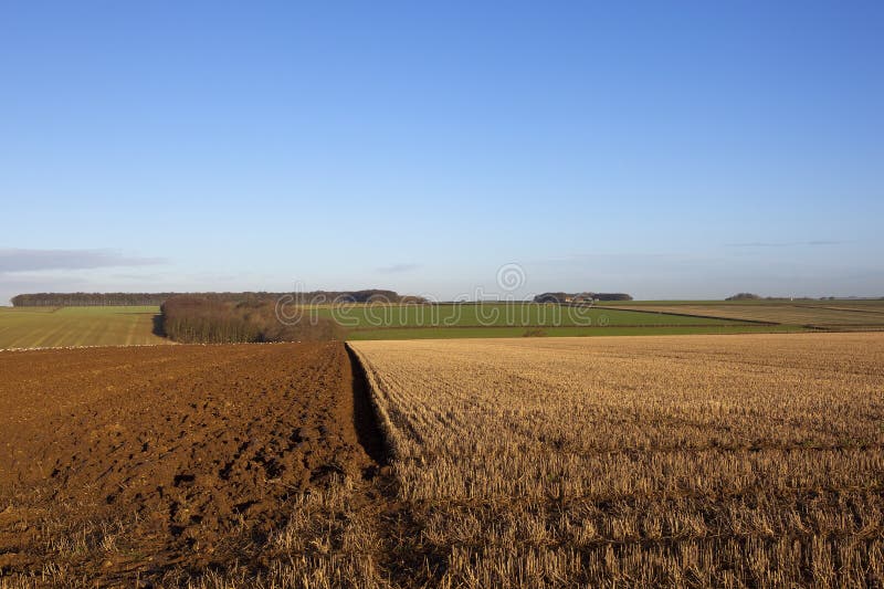 Patchwork Landscape in Autumn Stock Photo - Image of earth, cereals ...