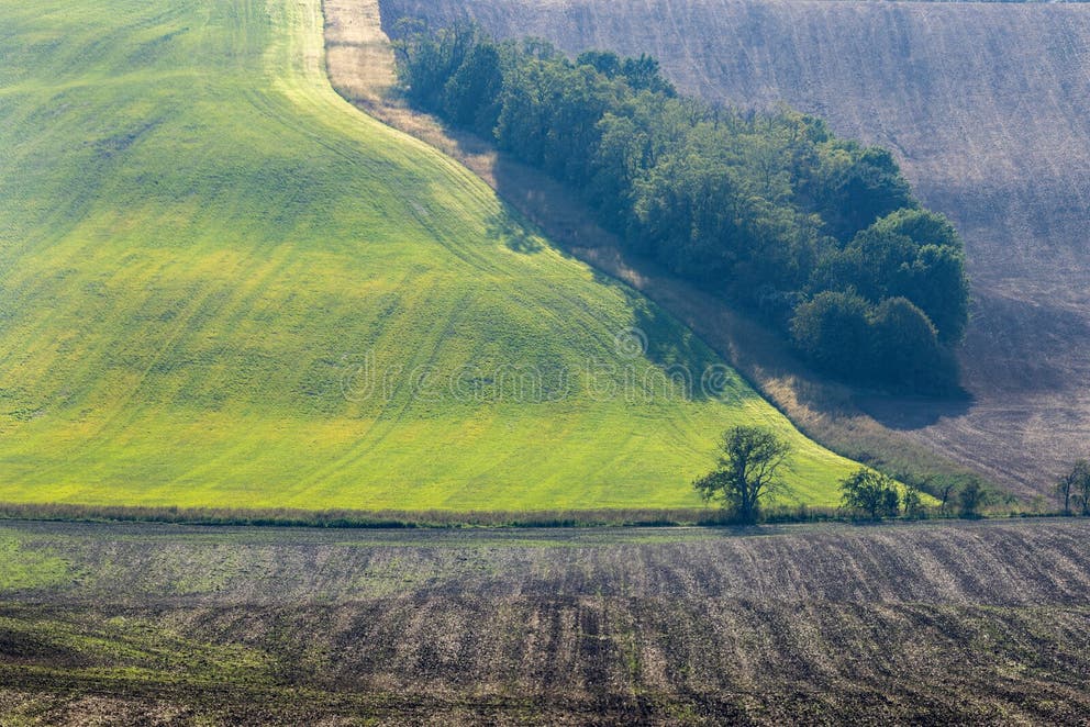A Patchwork of Moravian Fields: Waving in Harmony Stock Image - Image ...