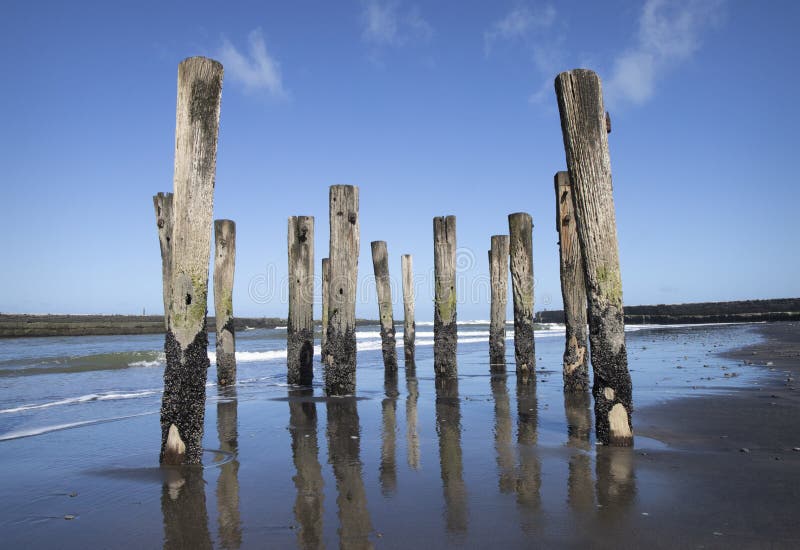 Patea Beach stock image. Image of zealand, taranaki - 217250439