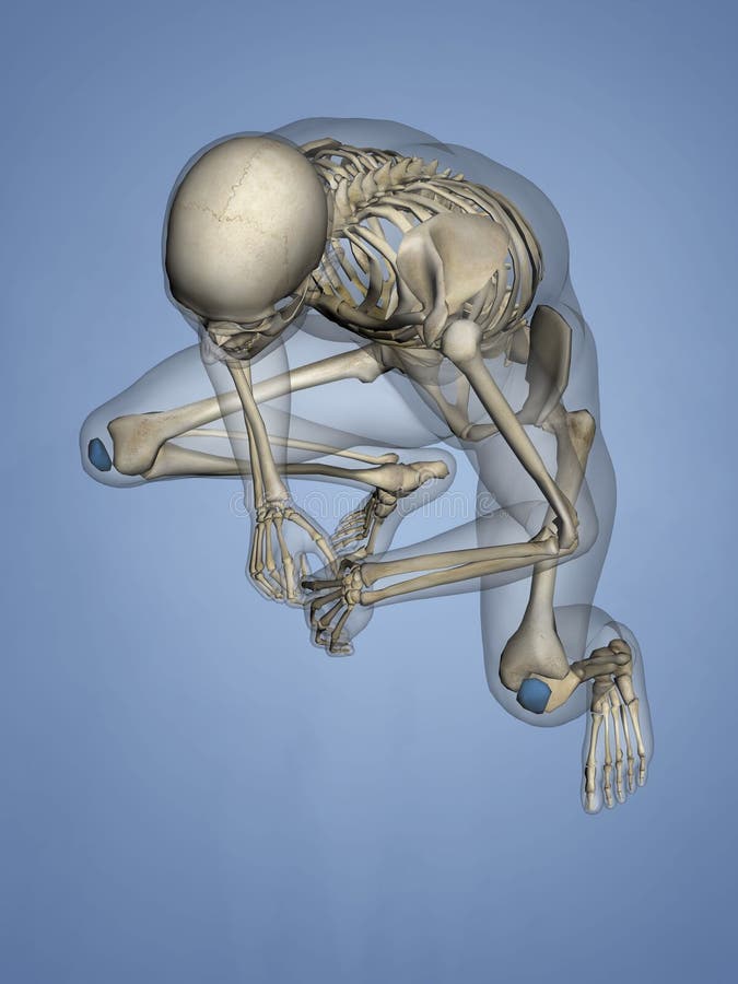 Patella, 3D Model stock illustration. Illustration of bone - 95438411